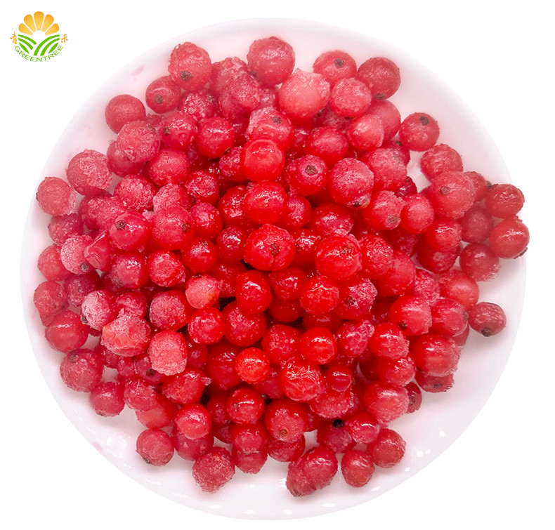 IQF Frozen Red Currant - ZHANGZHOU GREENTREE FOODS CO., LTD. IQF Frozen Red Currant - ZHANGZHOU GREENTREE FOODS CO., LTD.